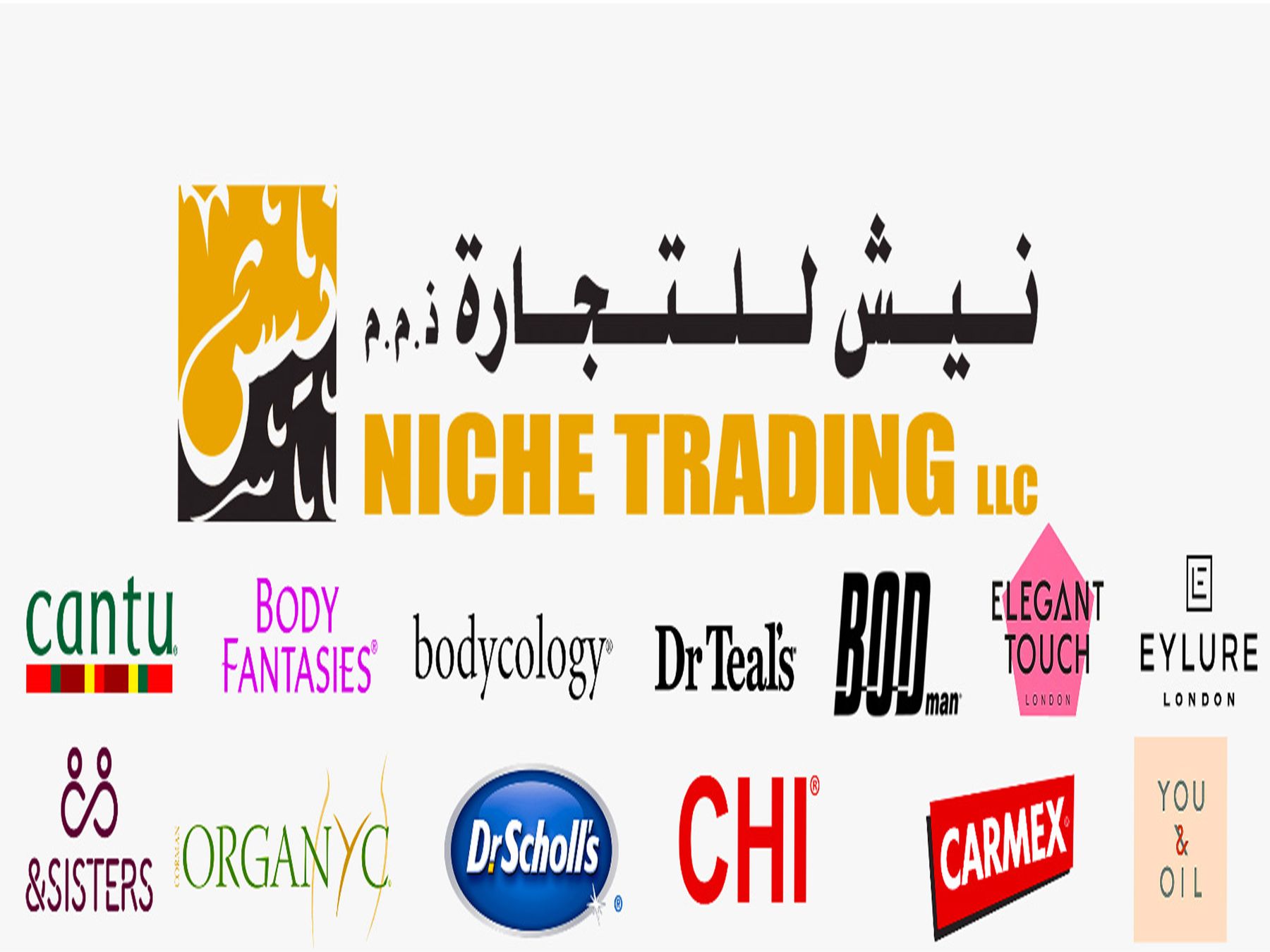 Dr Scholl's Comfort Float-On-Air Men | NICHE TRADING QATAR