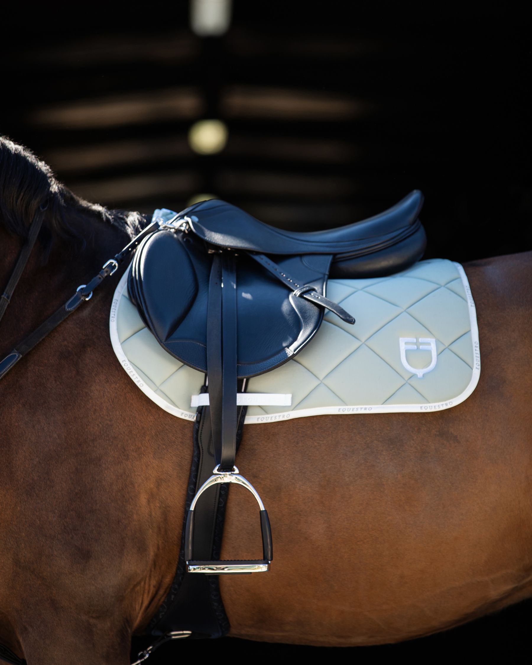 Saddles & Pads | equitalento